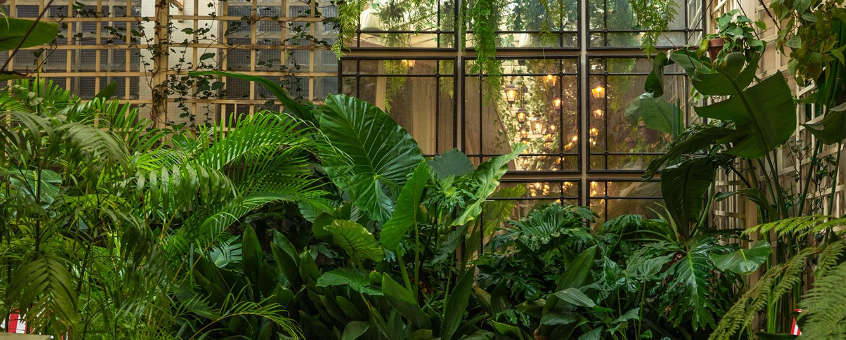 Lumen Cocktails & Cuisine | The St Regis Rome | Restaurant